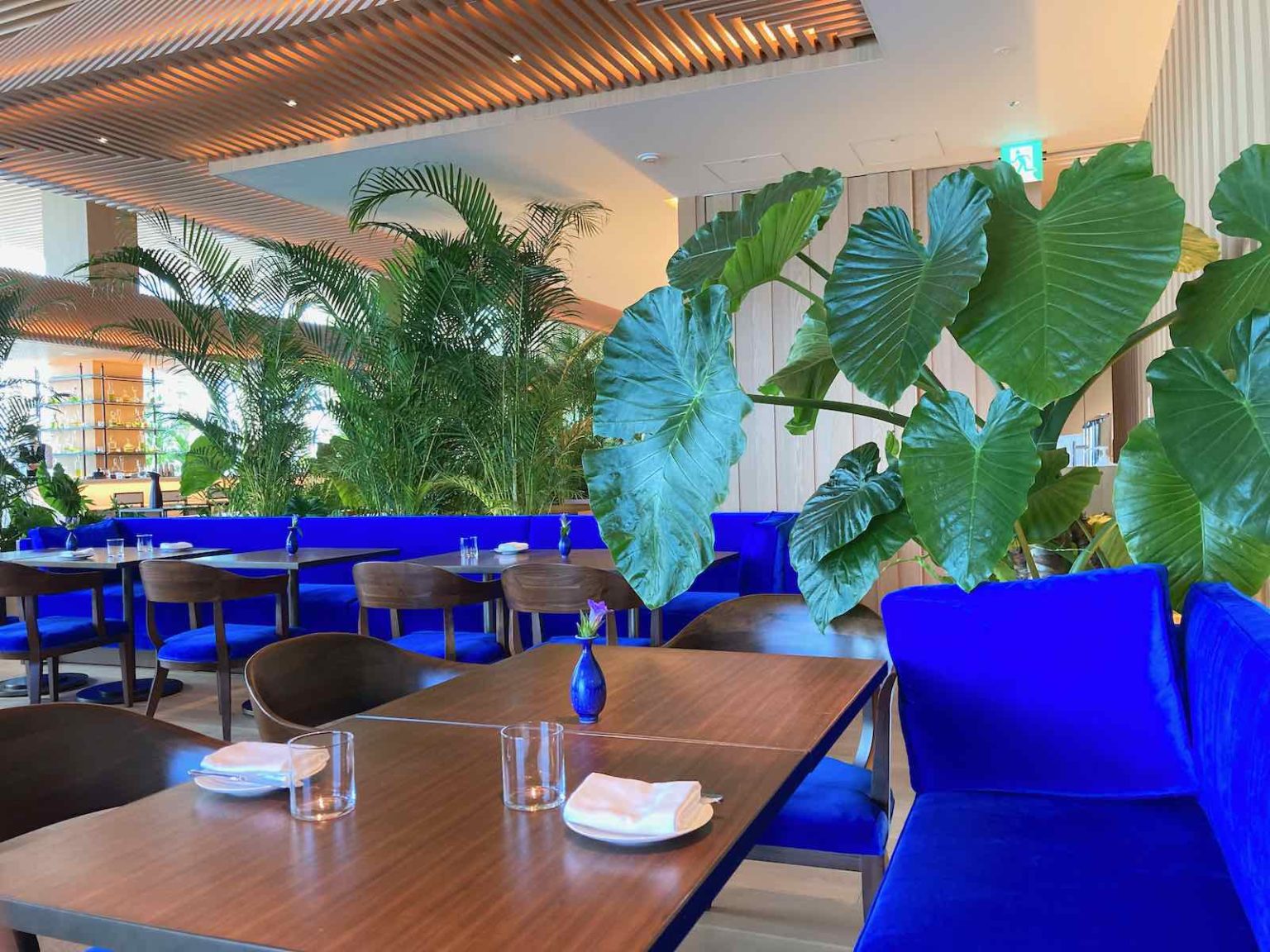 東京エディション虎ノ門THE BLUE ROOMの朝食、昼食、夕食の感想やメニューを写真や動画でご紹介します | 港区ブログ